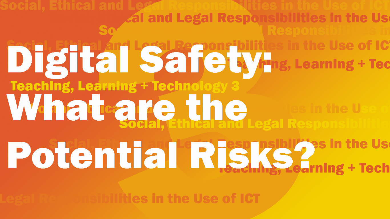 TLT3: What are the Potential Risks?